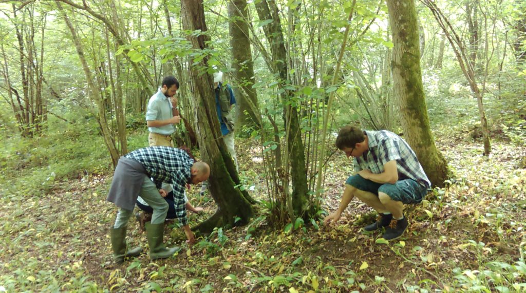 Habitat Survey & Assessment - Clarkson and Woods
