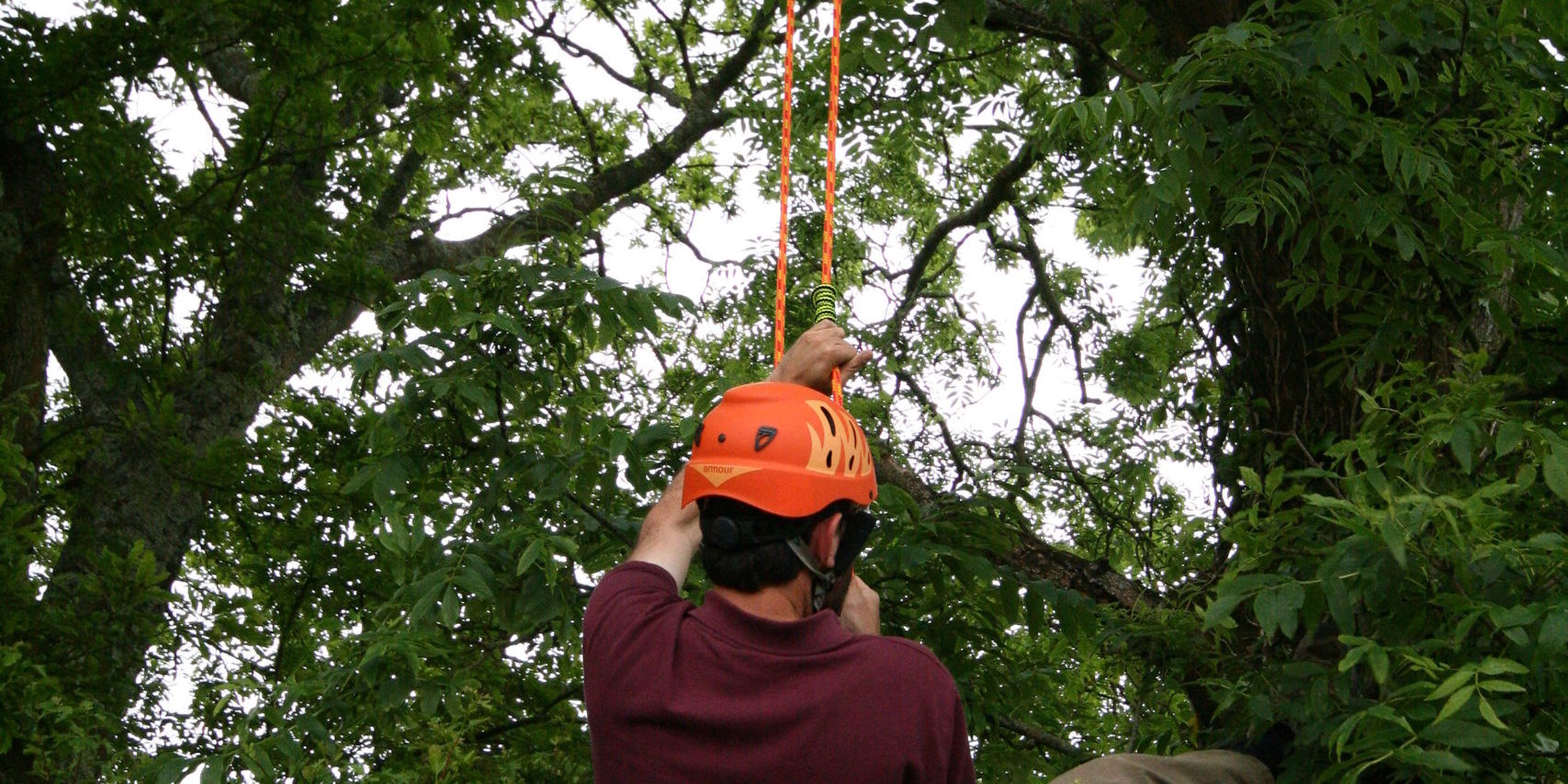 Tree Climbing Training - Clarkson and Woods