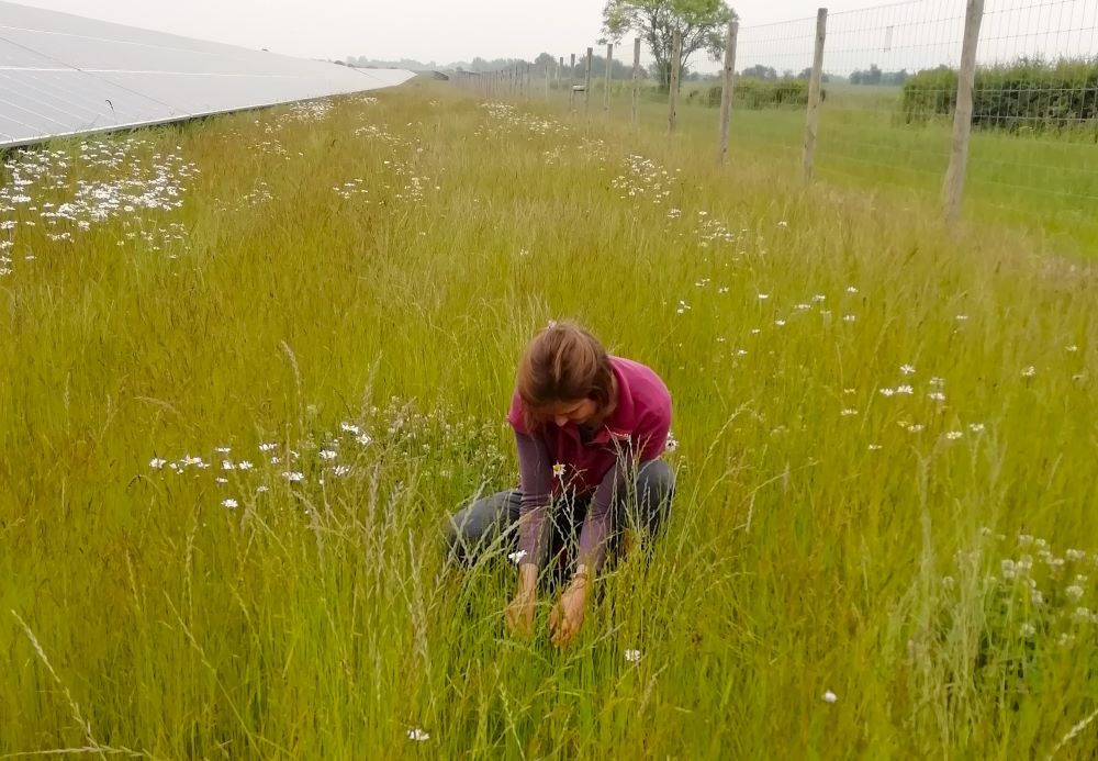 Launch of Standard Approach for Solar Farm Monitoring - Clarkson and Woods